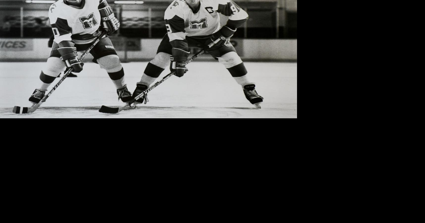 3 names emerge for Hamilton’s new hockey team
