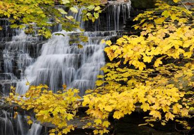 Falling in Hamilton: Colours beyond be-leaf