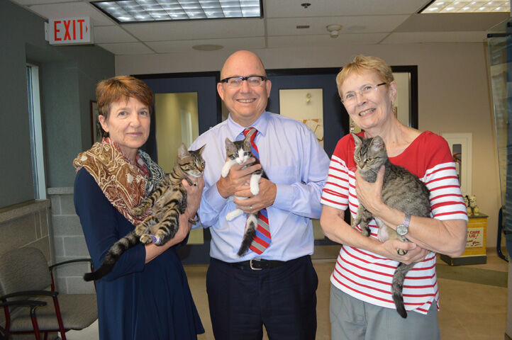 Hamilton/Burlington SPCA welcomes purr-fect gift