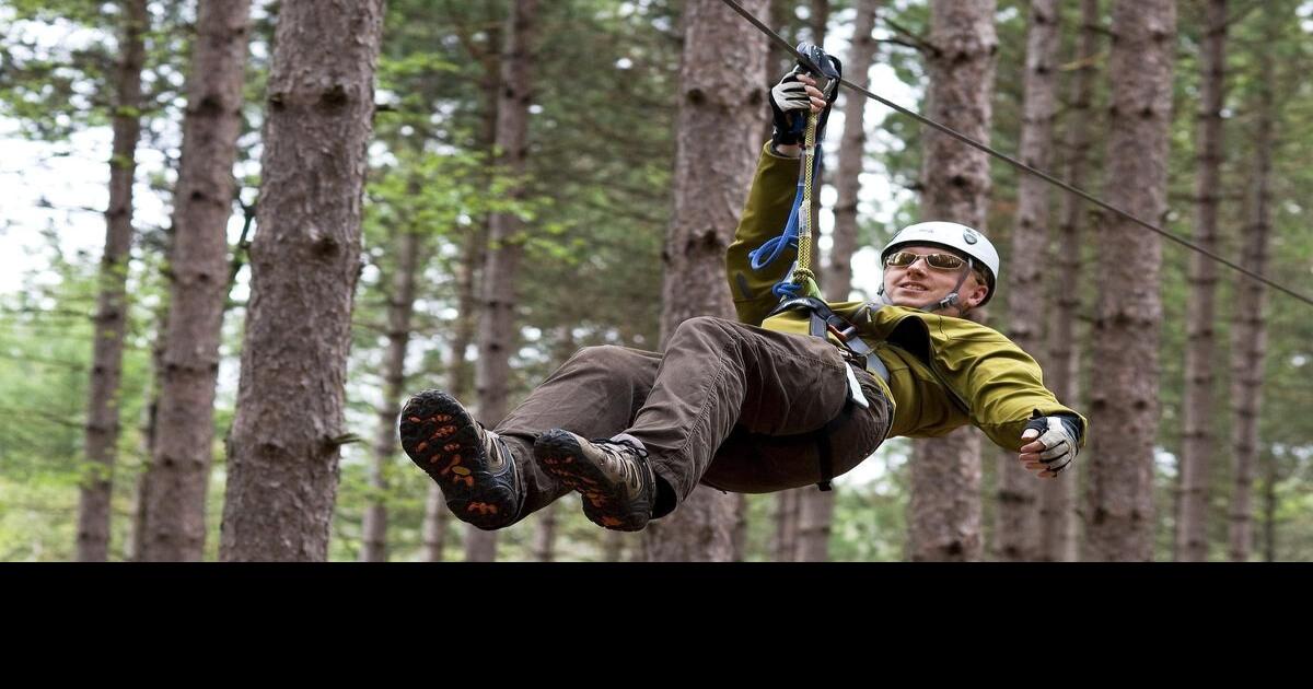 Binbrook Conservation Area to have treetop trekking courses