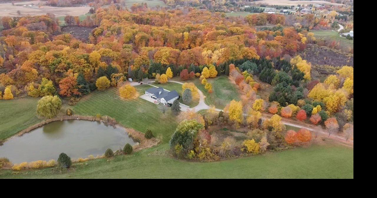 Wetlands in St. George a safe place for migratory ducks