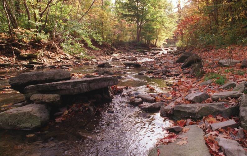 Hamilton’s best views for fall colours