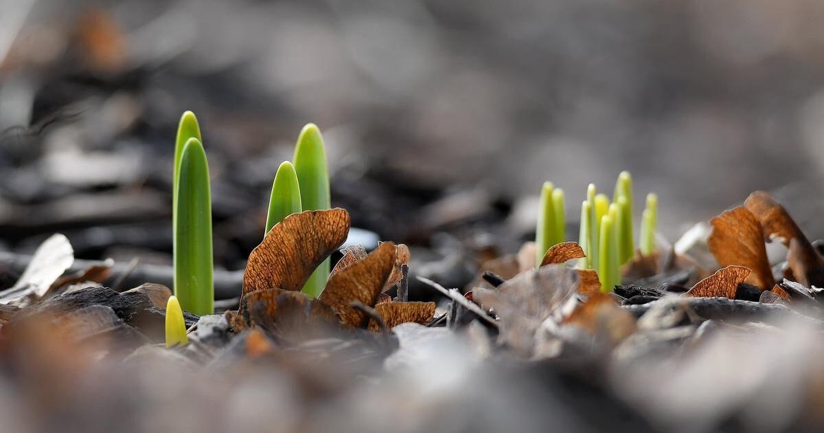 Spectacular Tuesday will make way for warm, wet Wednesday