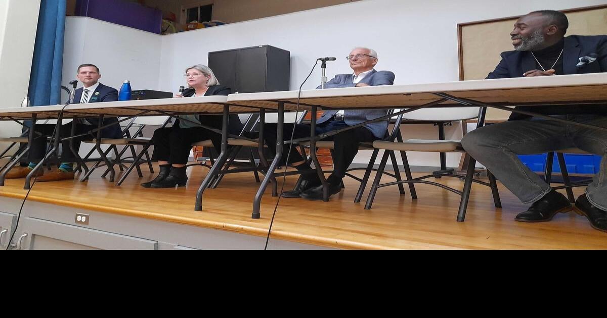 Strong mayors and local democracy