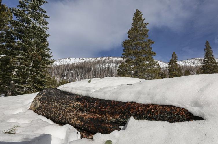 California's snowpack 'pretty good,' official says, as more storms on ...