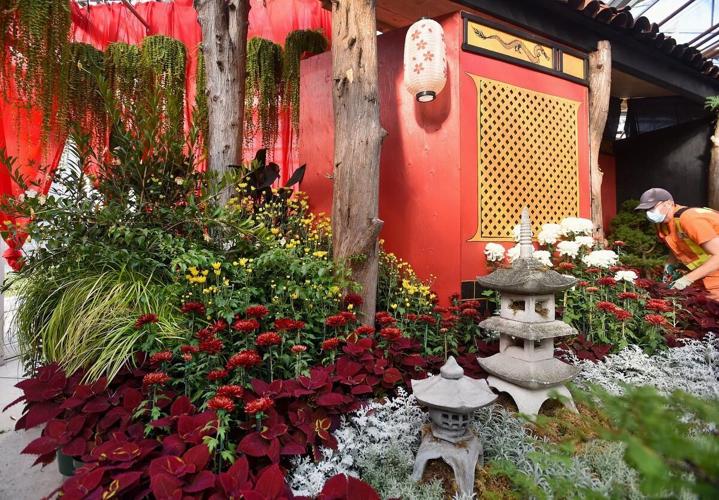 This year’s free Fall Garden & Mum Show is an inspired walk down memory ...