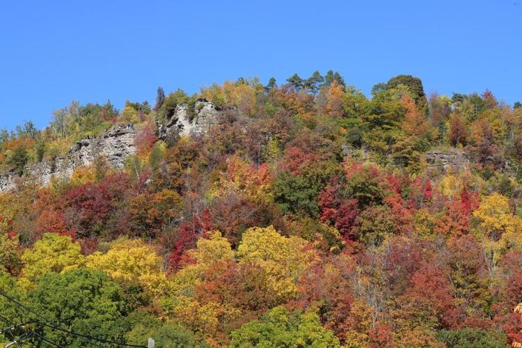 Fall foliage brightens up Hamilton