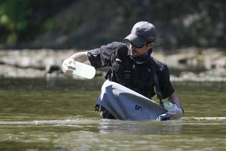 In Mississippi, a tiny fish is reintroduced to the river where it ...