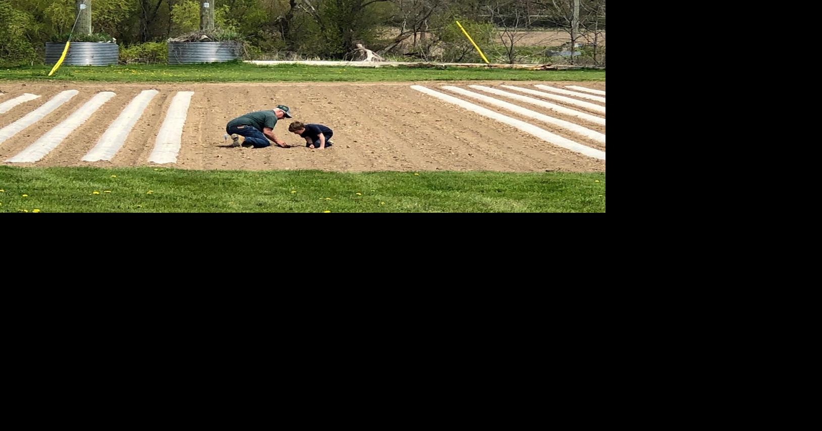 Snyder’s Sweet Corn opens riverside garden plots to public