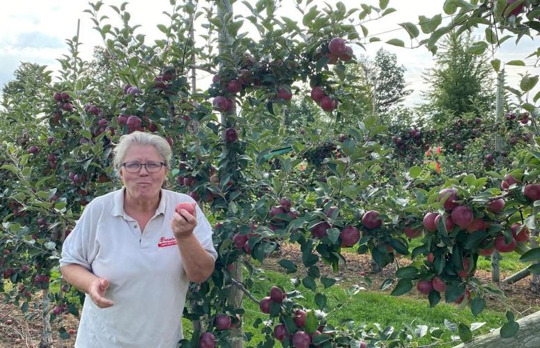What goes into growing the apples at a pick-your-own farm?