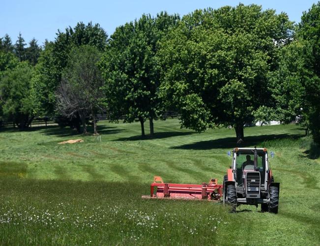 Snapshot of farm life: Amid rapidly disappearing farmland one Hamilton ...