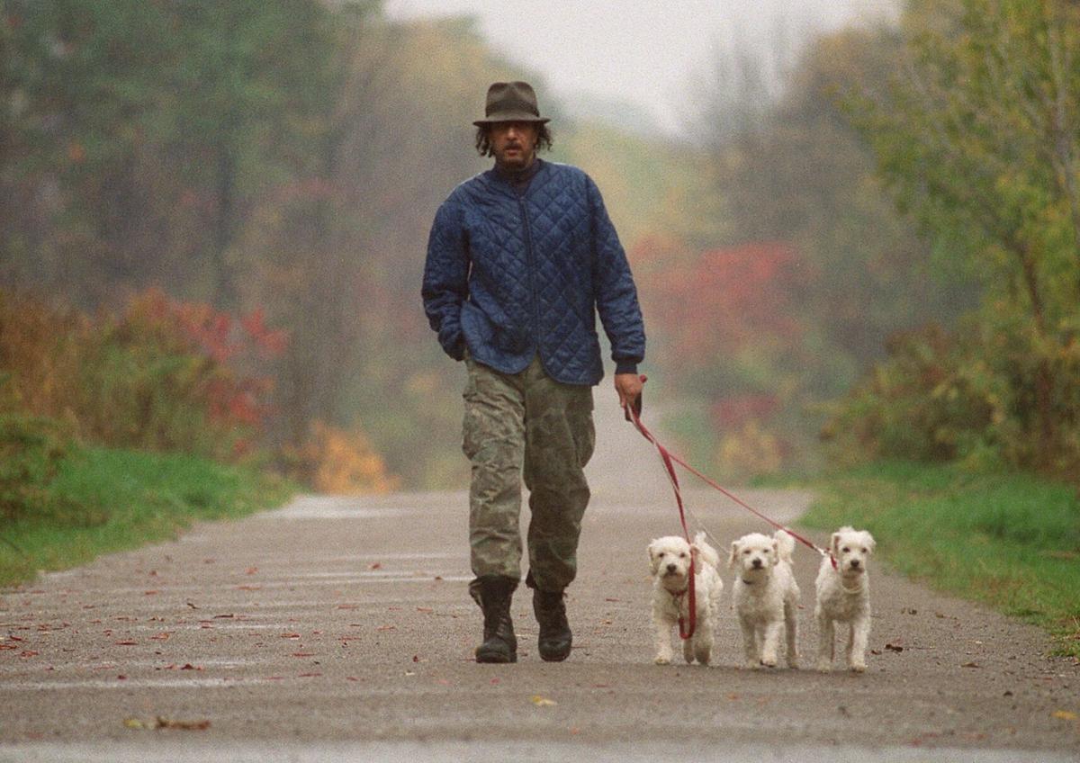 Hamilton’s best views for fall colours