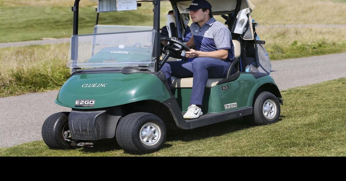 Have your say: Which Leafs player would you want to pair up with on the ...