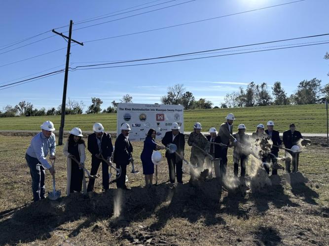 To save a dying swamp, Louisiana aims to restore the Mississippi River ...