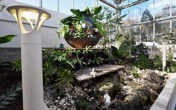 A tropical oasis awaits at Hamilton's new Gage Park greenhouse