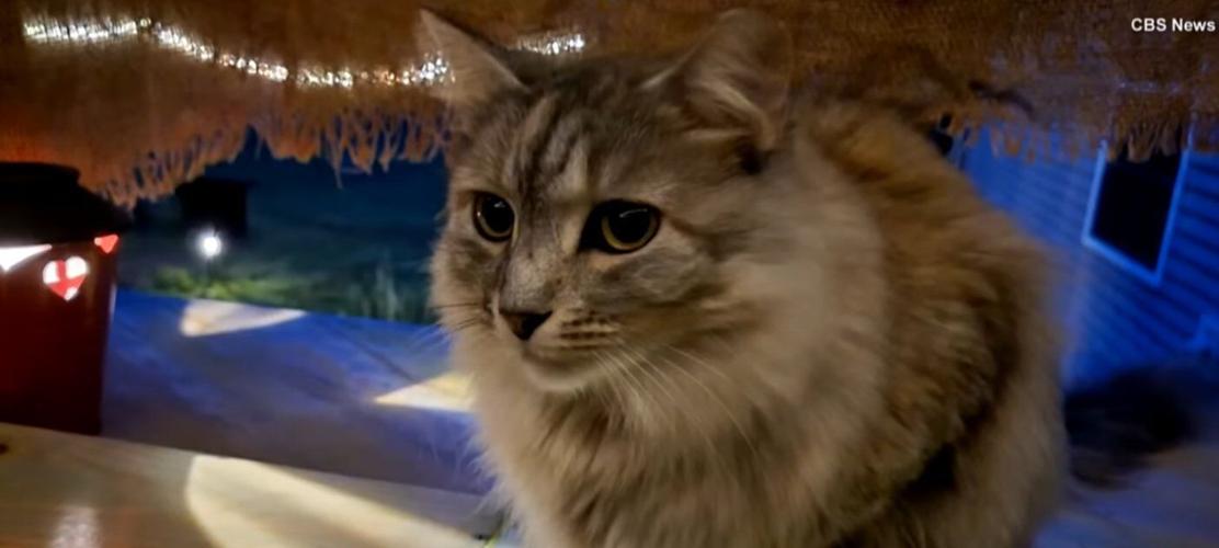 The $3,000 catch, and Friends Hearts makes Christmas magic