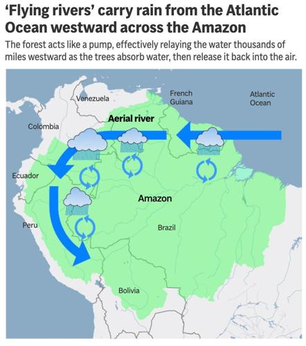 As Amazon's 'flying rivers' weaken with tree loss, scientists warn of ...