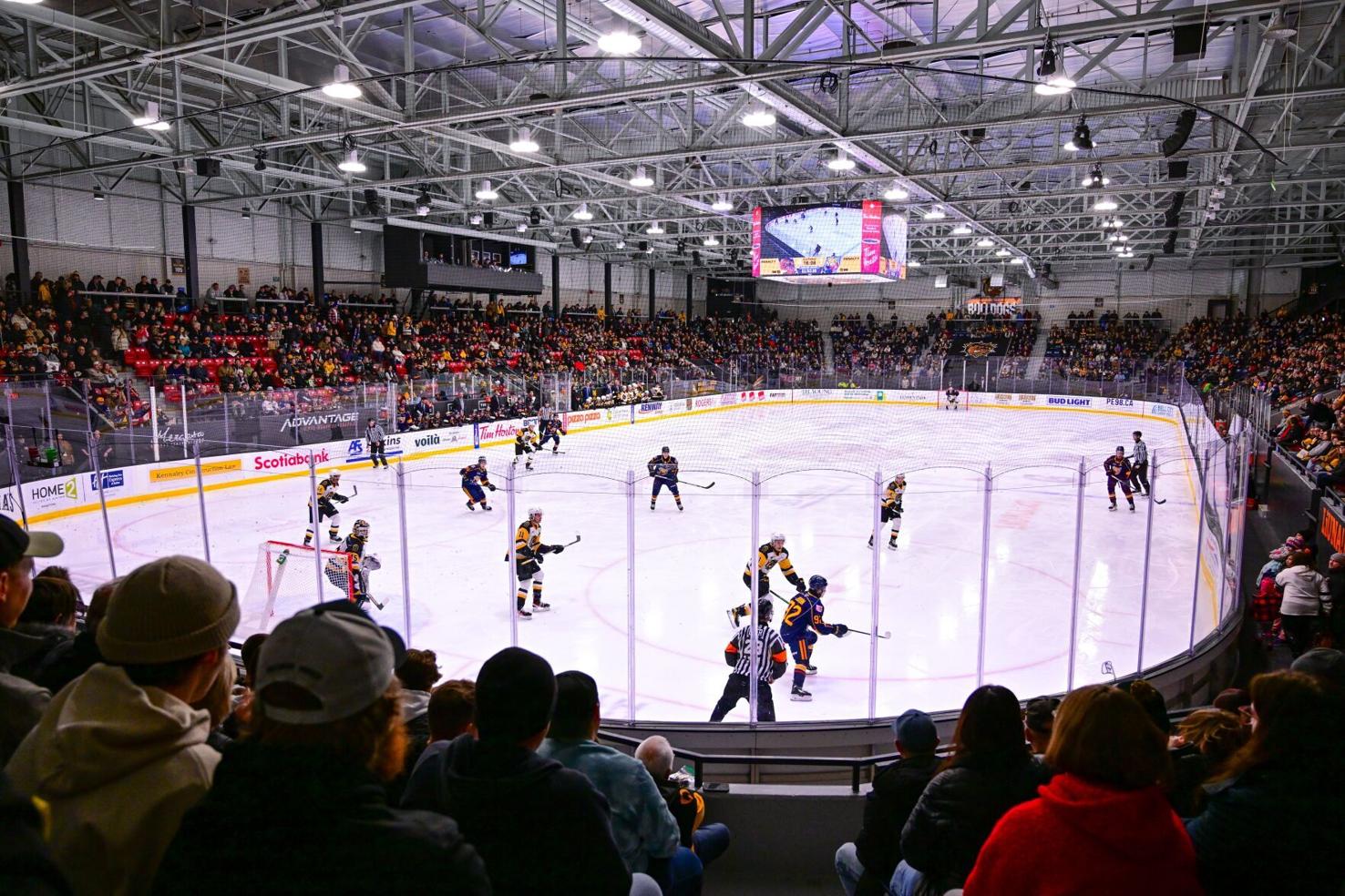 A two-city proposal for the OHL’s Brantford Bulldogs