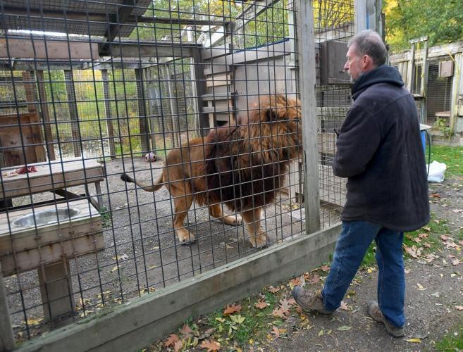 Killman Zoo owners respond to critical report