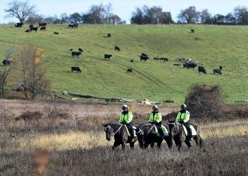 Father of missing woman had issues with children's aid society