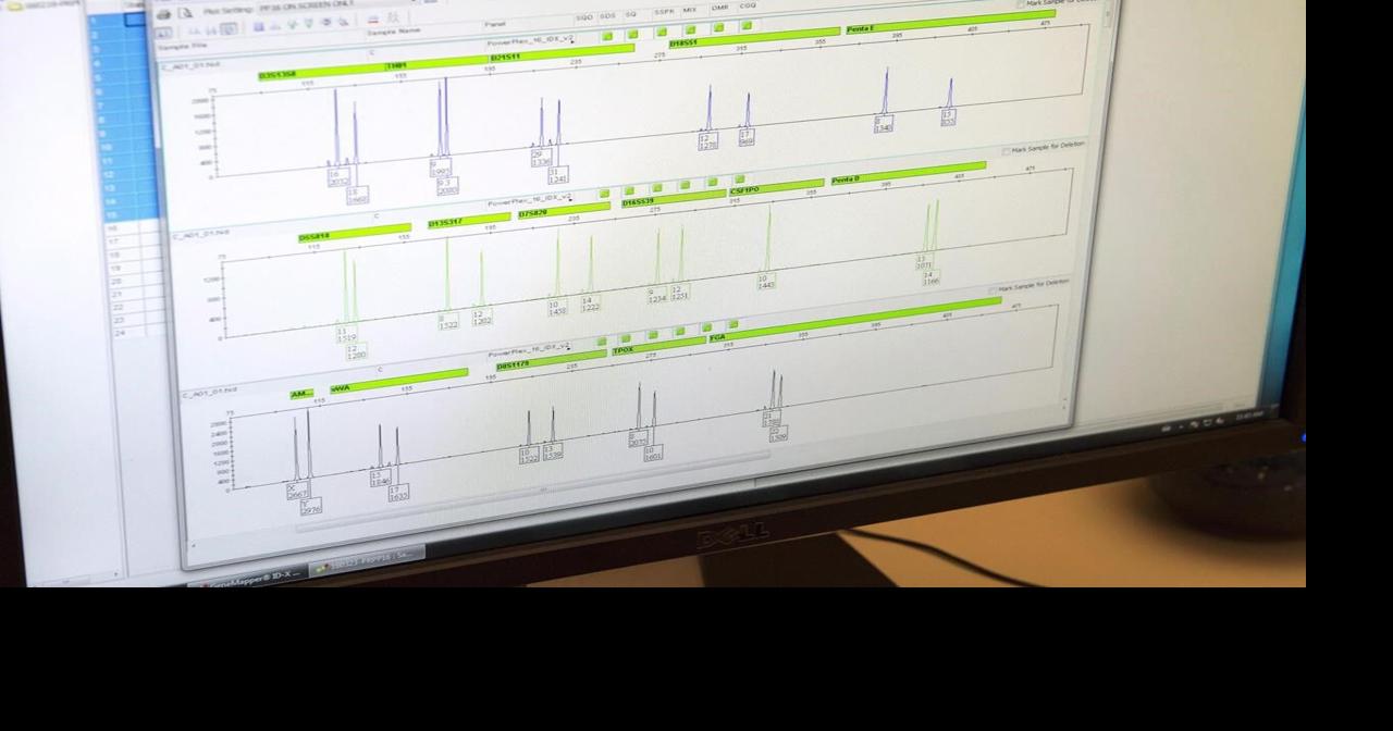 Genealogy test led to Ibrahim Ali's murder arrest, but methods face ...