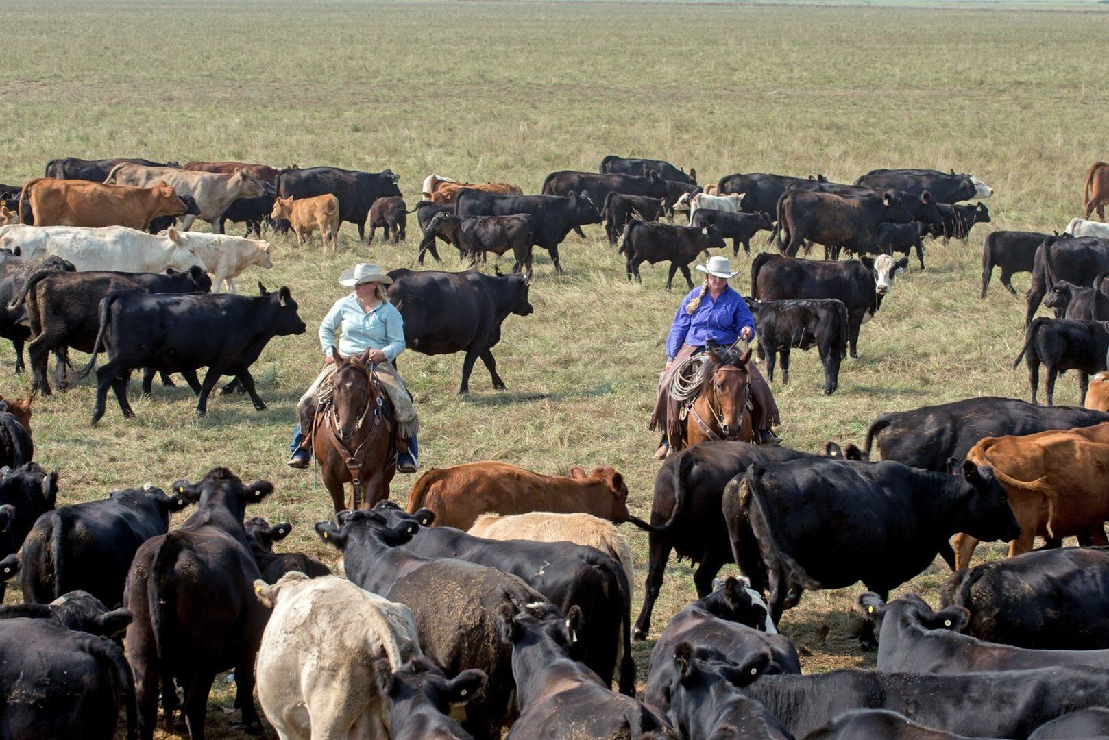 Celebrating Rural Ranching Women