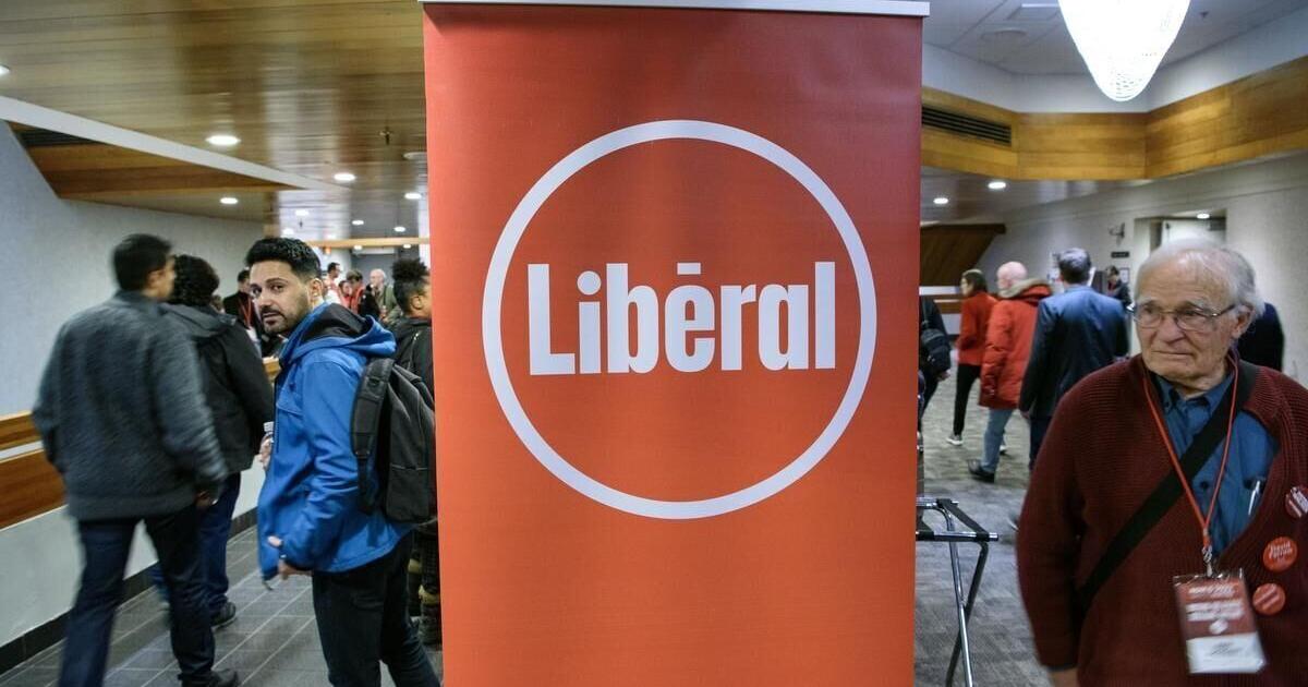 Liberal leadership debate — who can take on Doug Ford?