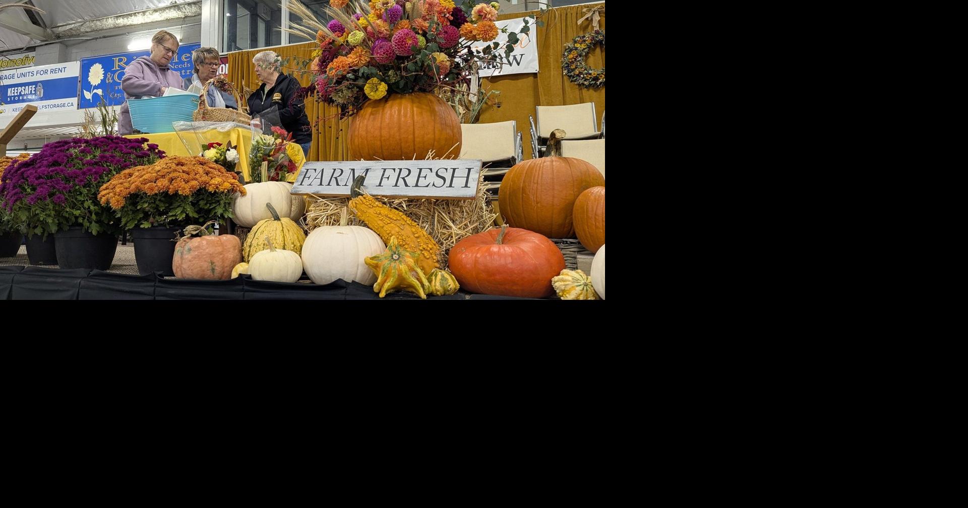Community takes the day off to celebrate Elmvale Fall Fair