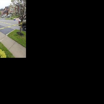 Mobster Angelo Musitano was shot at close range in calculated hit ...