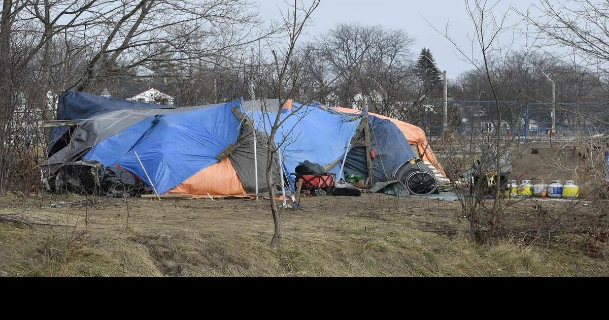 Dashboard provides Hamilton with real-time homelessness data