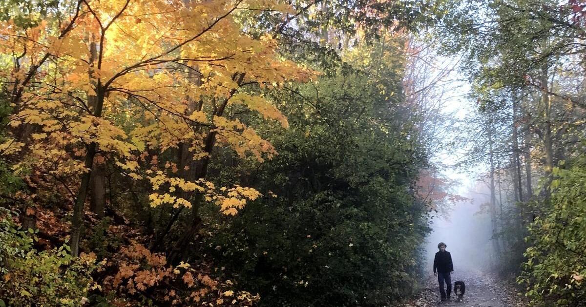 Xxx bokep jav sub indo