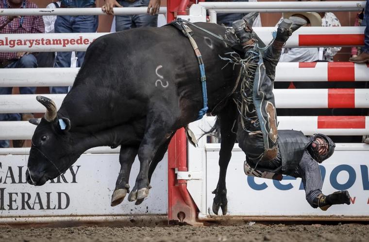 Photo Gallery: Calgary Stampede rodeo competition