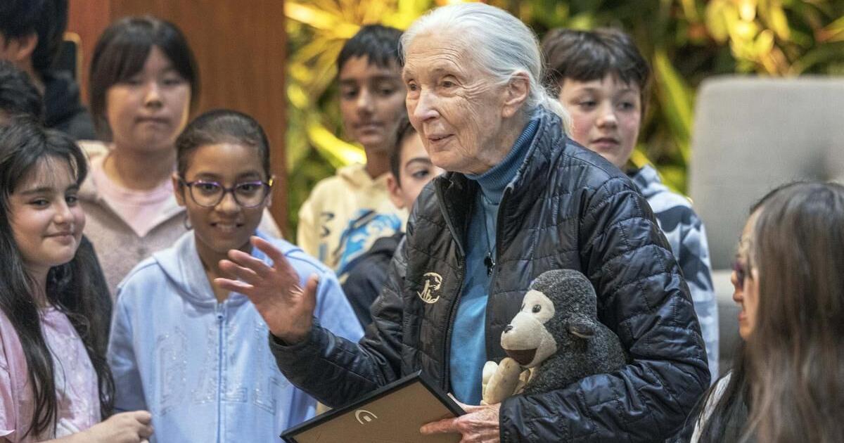 Renowned conservationist Jane Goodall speaks at RBG
