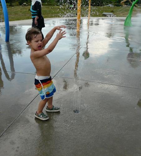 Binbrook Conservation Area seeing surge in visitors
