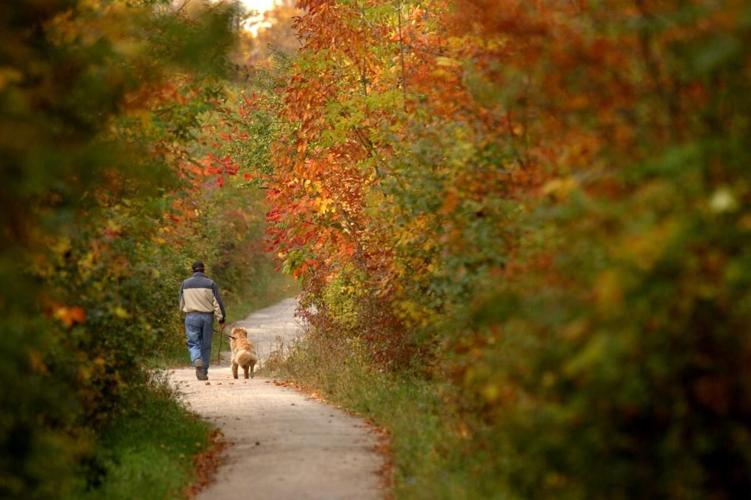 Seven great spots to see fall colours in Hamilton