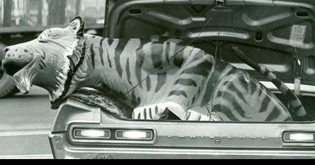 Highlights galore from 150 years of Hamilton Tiger-Cats