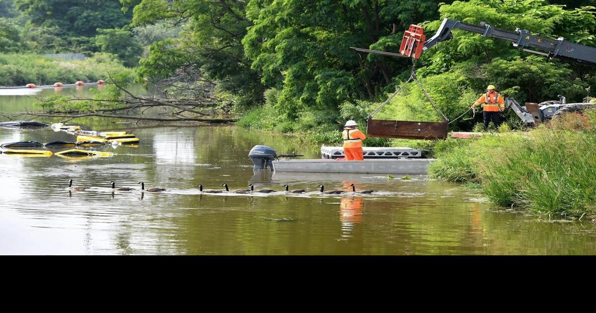 Chedoke Creek dredging begins