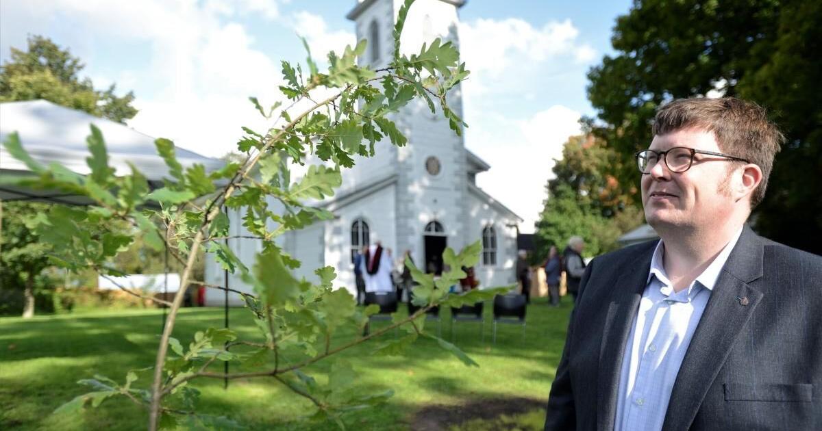 Vimy Ridge oak takes root in Norfolk County