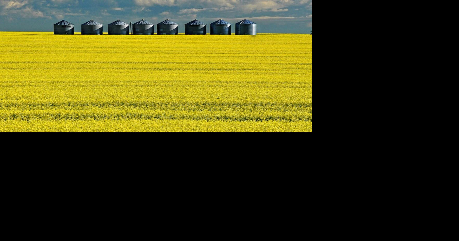 Mark Carney just handed Western Canada a huge win