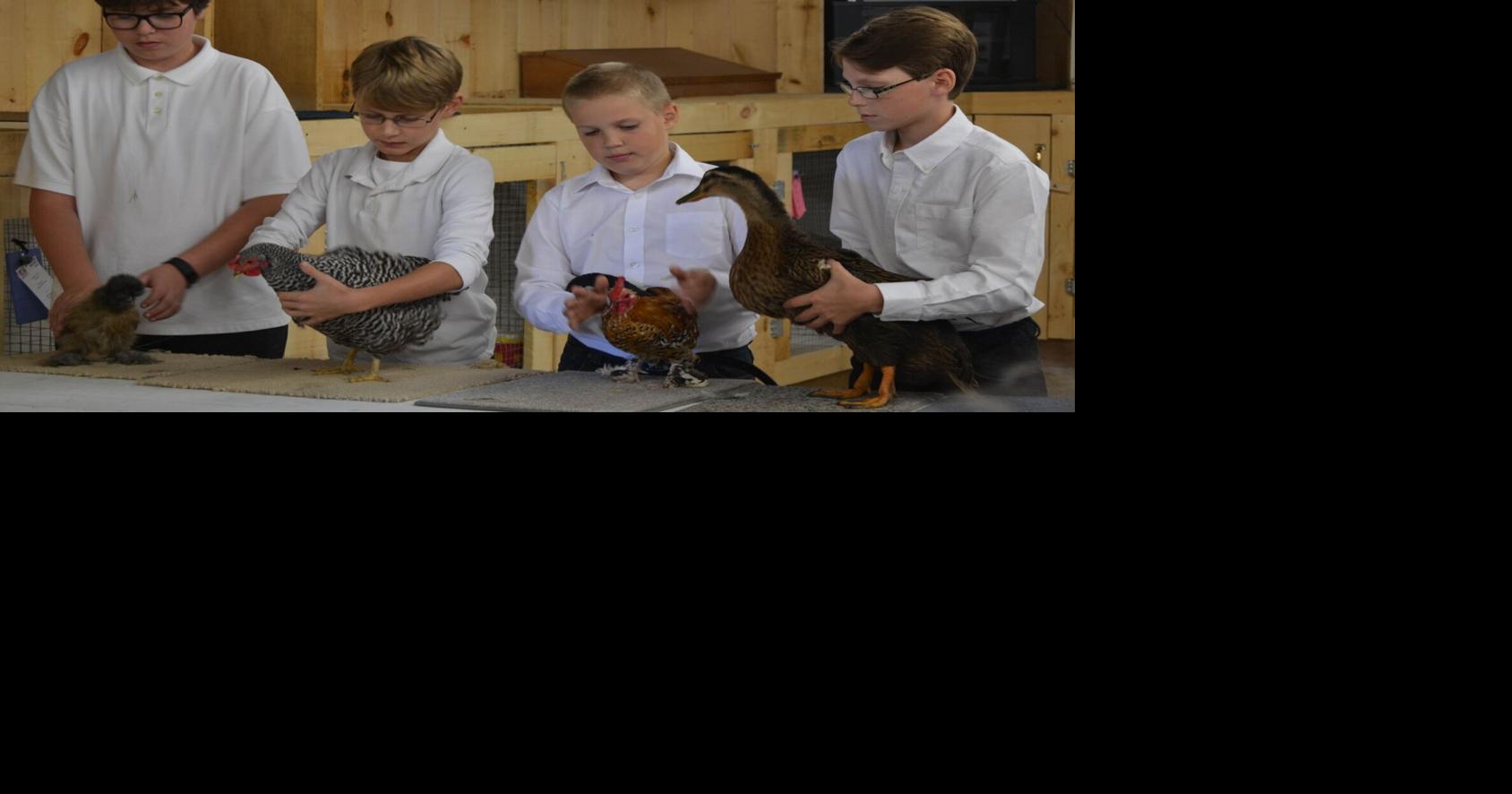 Photos capture the fun at Rockton Fair