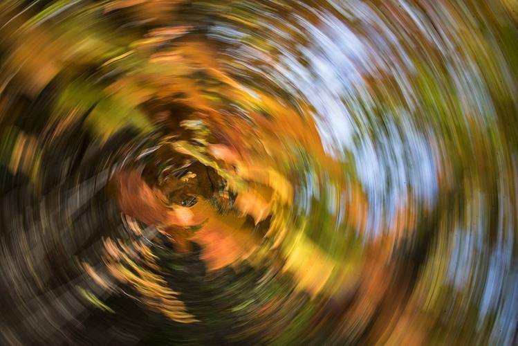 PHOTOGRAPHY 101: Study your subject matter