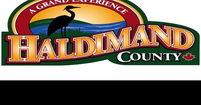 Updates coming to Jarvis walking track