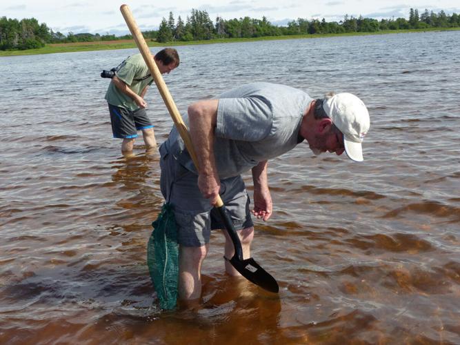 How to go shellfish foraging in P.E.I.