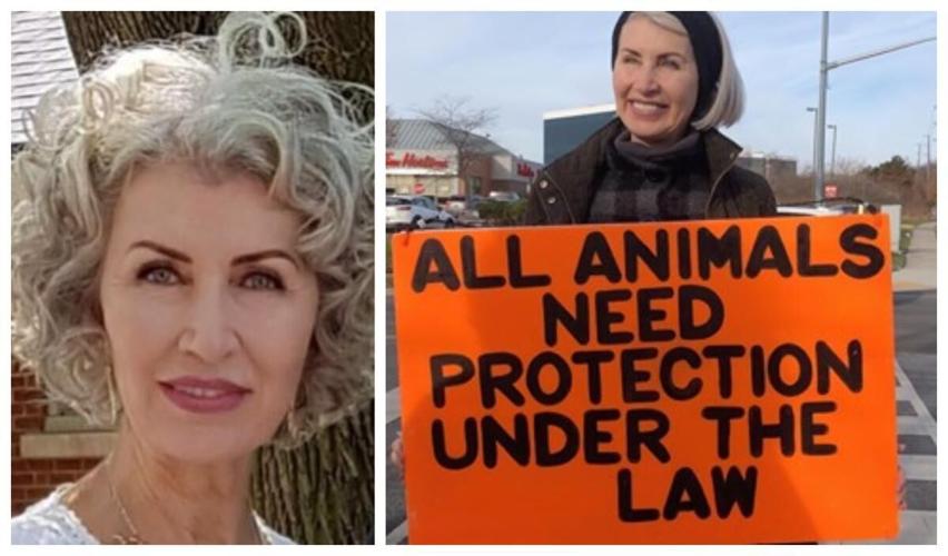 ‘She’s an angel and she was giving thirsty pigs water’ — Hamilton woman ...