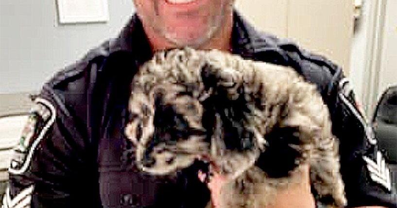 Hometown pride as Swann named Gananoque police chief