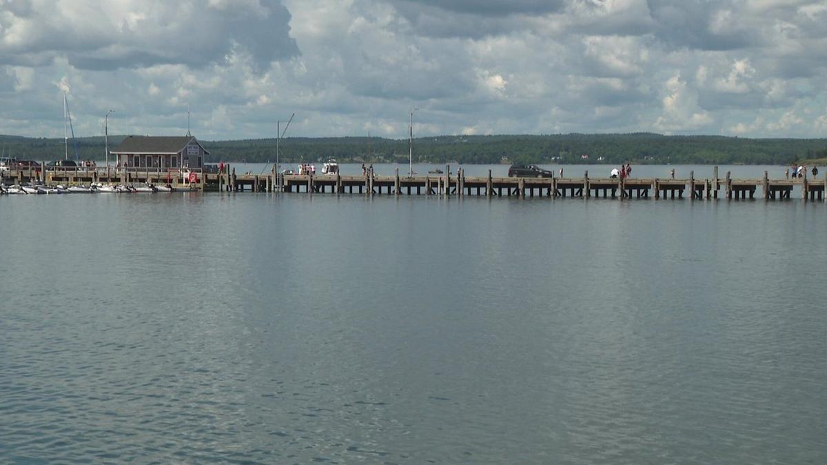 Town to move forward with public wharf consultation
