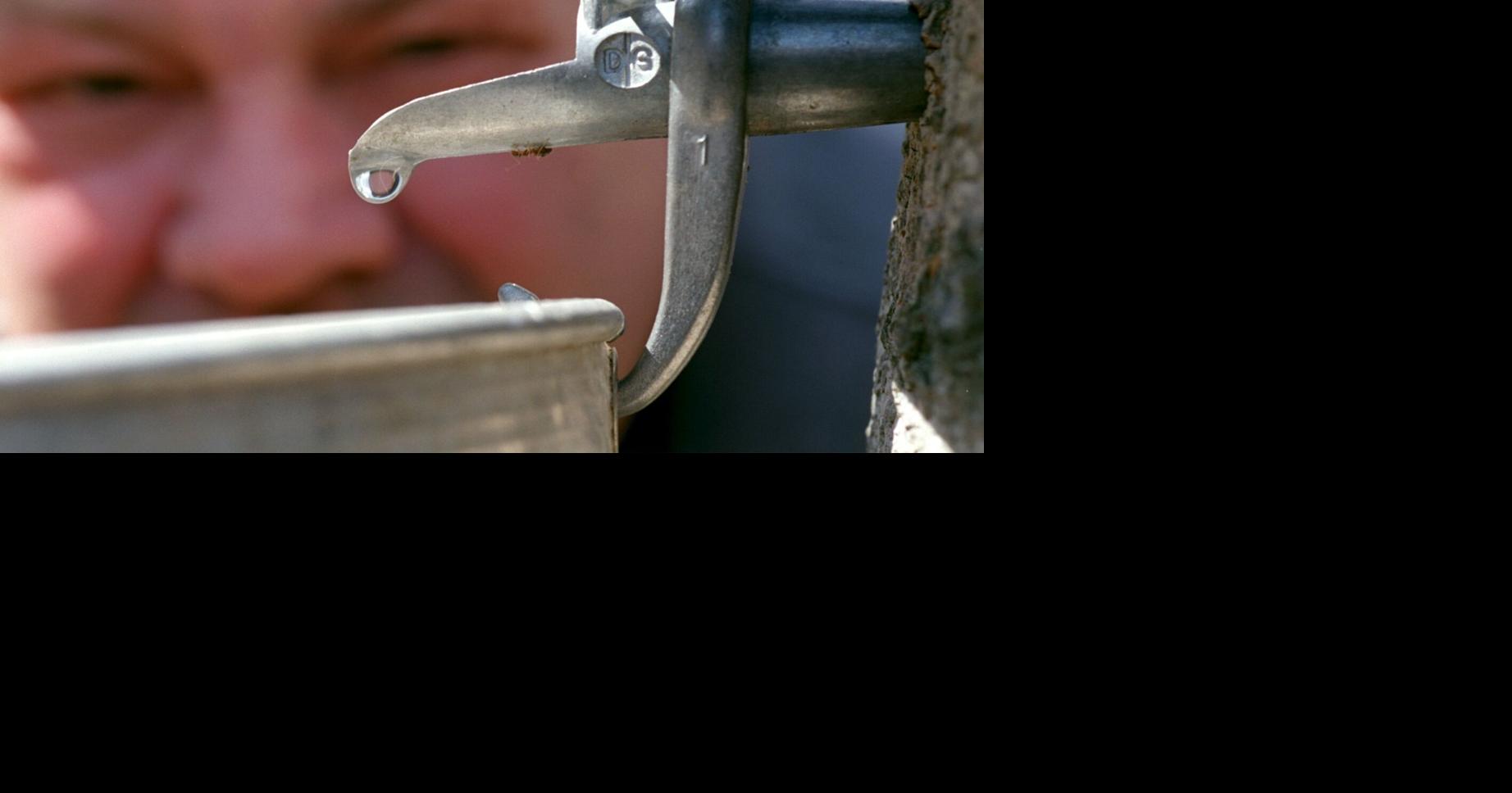 Hamilton area maple syrup festivals and events