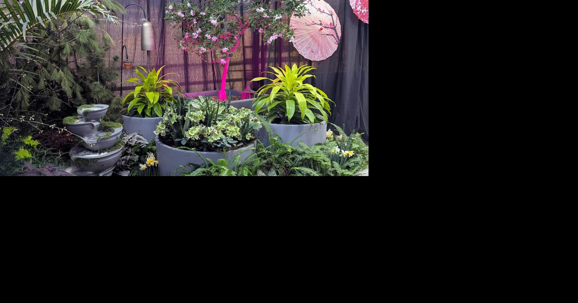 Spring Tide bulb show at Gage Park relieves the winter blues