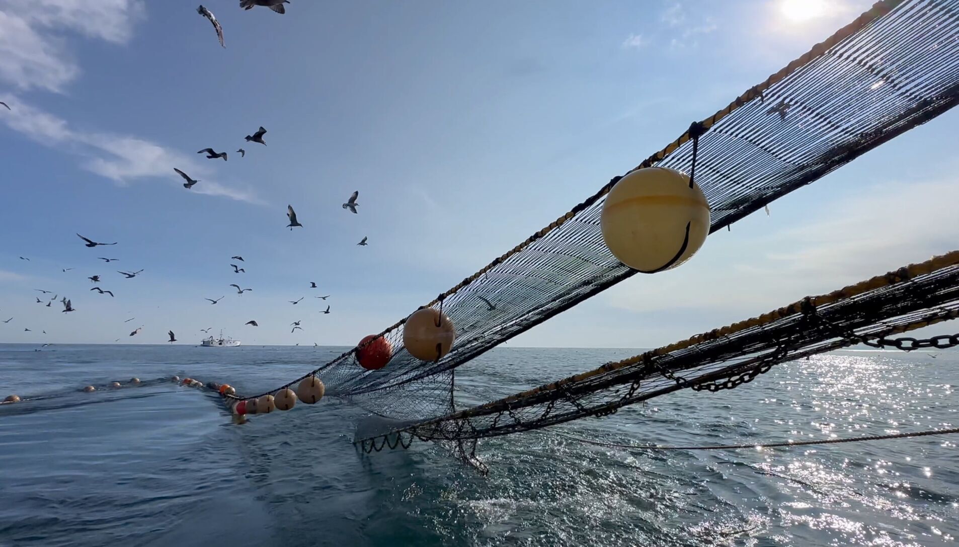 New doc on Port Dover fishery reels in viewers