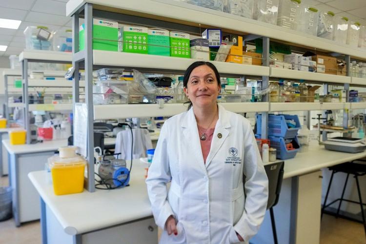 Tools to fight hantavirus show promise despite limited funding. Now ...
